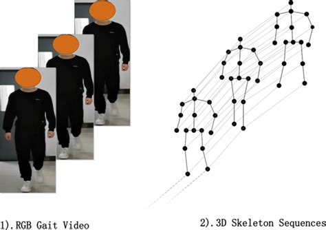The Skeleton Sequences Of Rgb Gait Video Which Contains Download