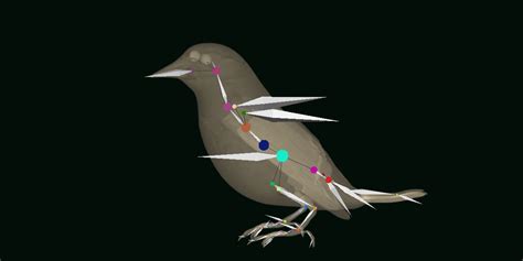 Golden Cheeked Warbler Songbird 3d Model By Nyilonelycompany