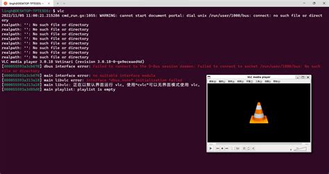When Running Snapd Programs With Built In Systemd Support There Is Some Waring About D Bus