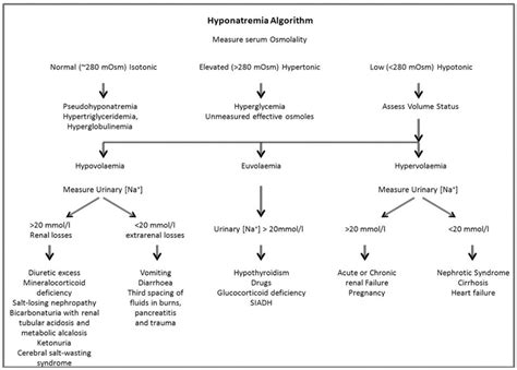 Pseudohyponatremia A Concise Guide To Diagnosis And Management In Clinical Practice Pmc