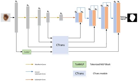 Hmt Net Transformer And Mlp Hybrid Encoder For Skin Disease Segmentation