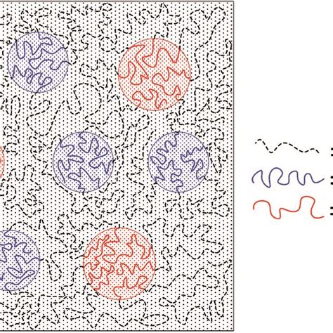 Illustration Of Silicone Copolymers Prepared By Phase Separation Of Download Scientific Diagram