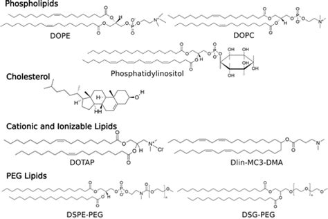 Lipid Based Nanoparticles For Drug Gene Delivery An Overview Of The Production Techniques And