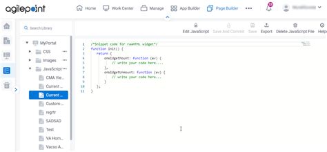 Example Custom JavaScript In Page Builder
