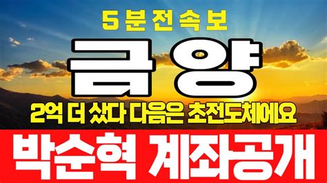 금양 🔥 박순혁이사 계좌공개 이럴수가 2억 더 매수 다음은 초전도체 에코프로 에코프로비엠 선대인 서정덕tv 85 Youtube