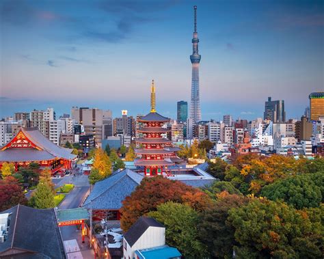 배경 화면 일본 도쿄 타워 가을 주택 나무 1920x1200 그림 이미지