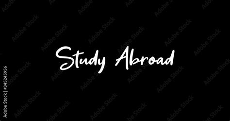 Study Abroad White Color Cursive Font Transition On Green Background Stock Video Stock Video