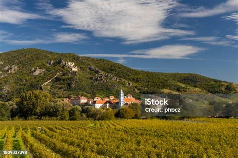 듀언슈타인 근처의 바하우 계곡 유네스코 유적지 포도밭이 있는 풍경 오스트리아 0명에 대한 스톡 사진 및 기타 이미지 0명 가을 경관 Istock