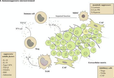 Tumor Immunosuppressive Microenvironment The Tme Plays An Important Download Scientific