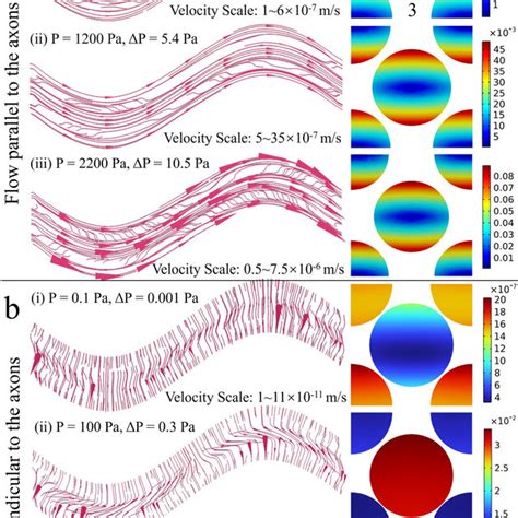 Microstructural Dependence Of The Permeability Tensor A Effect Of Download Scientific
