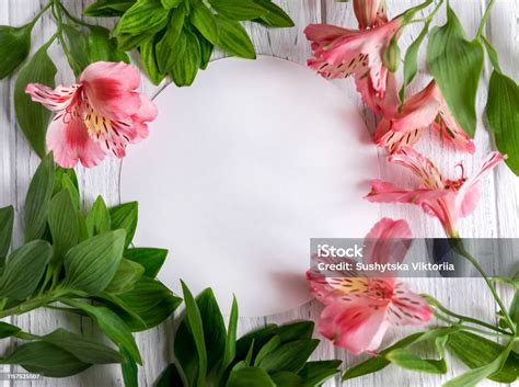 흰색과 나비의 자연 꽃어두운 나무 배경에 빈 종이 메일 봉투를 조롱 공백 텍스트프레임 꽃 인사말 카드 디자인입니다