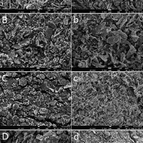 Sem Image Of K Feldspar Mineral Powder Download Scientific Diagram