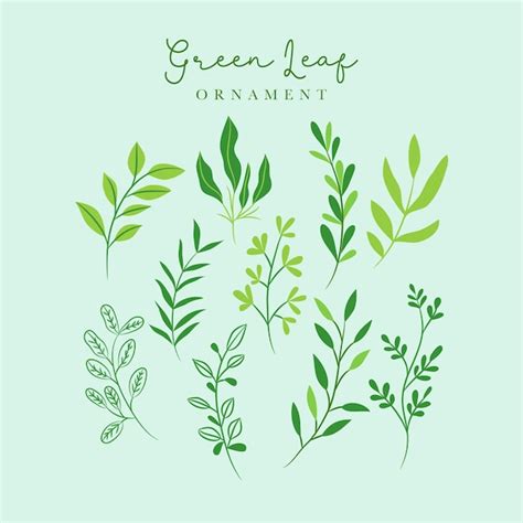 Premium Vector Green Leaf Decoration Ornament Free Vector