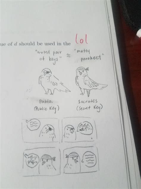 A Babe Drew This On A Quiz On RSA R ProgrammerHumor