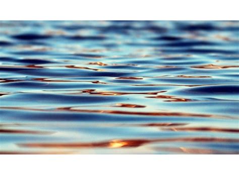 Orp Tester Oxidation Reduction Potential Basics And Usage