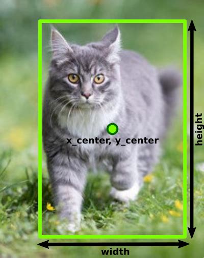 how to detect objects on images using the yolov8 neural network dev