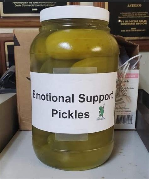 Emotional Support Pickles Rlol