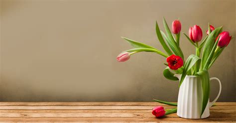 7 Day Declutter Challenge Sallie Borrink