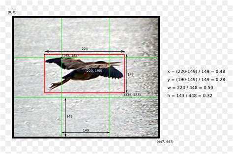 Bounding Box Yolo Hd Png Download Vhv