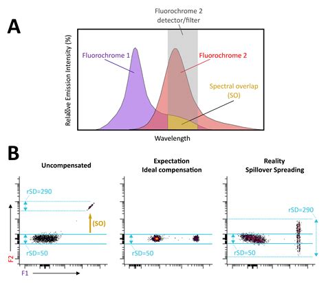 Guide To Flow Cytometry Panel Building Proteintech Group