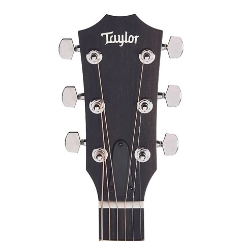 Taylor 224ce Plus Special Edition Reverb