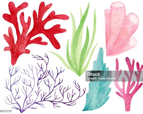 큰 수채화 수중 컬렉션 다양한 다채로운 해초와 흰색 배경에 격리 된 산호 다양 한 여름 상품에 0명에 대한 스톡 벡터 아트 및