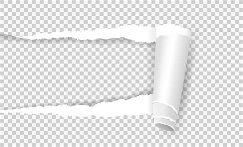 롤핑 가장자리 찢어진 노트북 페이지 시트찢어진 종이 투명 배경 벡터 템플릿에 실제 적으로 찢어진 종이 스트립 구멍 0명에 대한 스톡 벡터 아트 및 기타 이미지 Istock