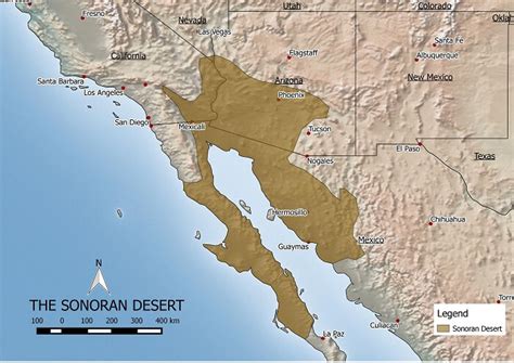 The Sonoran Desert Oasis Of Resilience Lac Geo