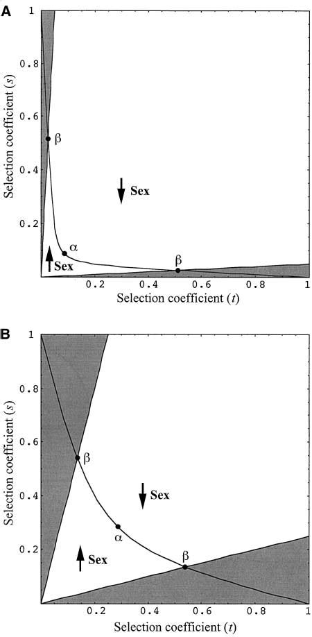 —the Effect Of Varying The Initial Degree Of Sex The Amount Of