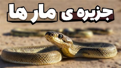 جزیره ی مخوف مار های سمی در برزیل مرگبار ترین نقطه ی زمین Youtube