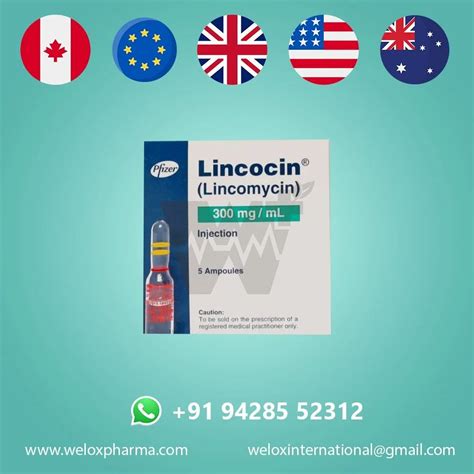 Lincocin Lincomycin 300mg 1ml Injection At Rs 270vial Pharmaceutical
