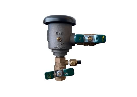 Spill Resistant Pressure Vacuum Breaker Srpvb Backflo Shop