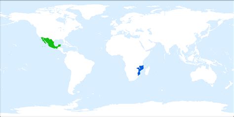 Gossypium Aridum Flower Leaf Care Uses Picturethis