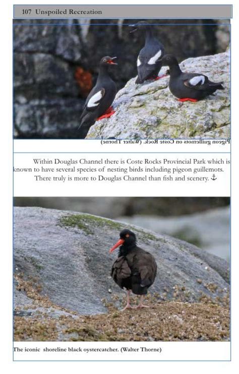 Text Box Within A Text Box Pre V2 Archive Of Desktop Questions MacOS And Windows Affinity