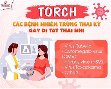 TORCH bệnh nhiễm trùng từ mẹ sang con gây dị tật thai nhi Bệnh viện Đức Phúc