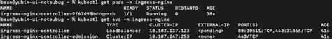 Nginx Ingress