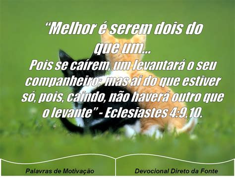 Palavras De Motivação Motivação Diária