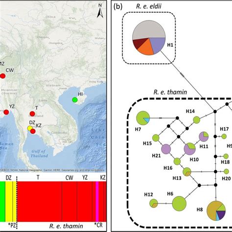 A Bayesian Analysis Of Population Structure Baps Of Elds Deer