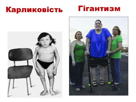 Ендокринна регуляція функцій організму людини презентация онлайн