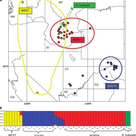—geographic Distribution And Population Structure A Geographic
