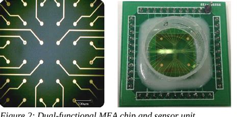 Figure 2 From Dual Function Microelectrode Array System For Simultaneously Monitoring