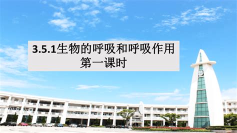 3 5生物的呼吸和呼吸作用 第1课时课件 30张PPT 21世纪教育网