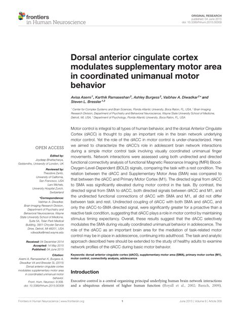 Pdf Dorsal Anterior Cingulate Cortex Modulates Supplementary Motor Area In Coordinated
