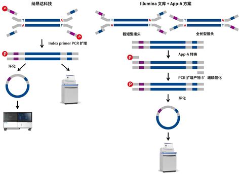 新品上线 双平台 Mgi And Illumina 通用接头来了！ 爱企查