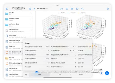 Working With Notebooks Juno