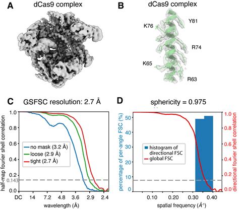 Application Of Monolayer Graphene To Cryo Electron Microscopy Grids For