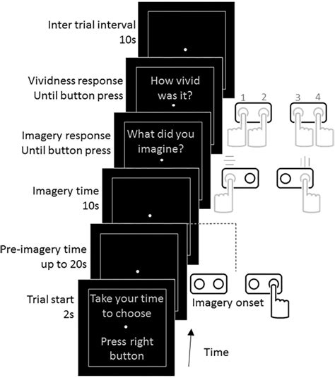 Fmri Task Paradigm Participants Had To Freely Choose Between Two Download Scientific Diagram