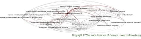 Amyloidosis Primary Localized Cutaneous 3 Disease Malacards
