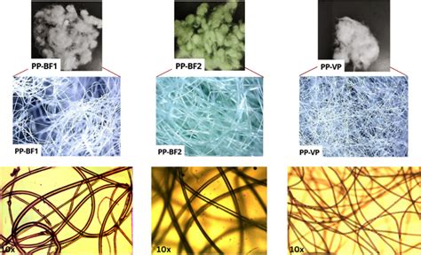 Magnified And Microscopic 10× Photographs Of A Polyester Ball Fibers Download Scientific
