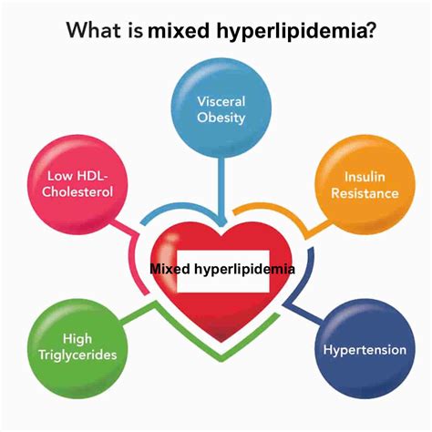 Mixed Hyperlipidemia Meaning Causes Symptoms Diagnosis Treatment And Prognosis